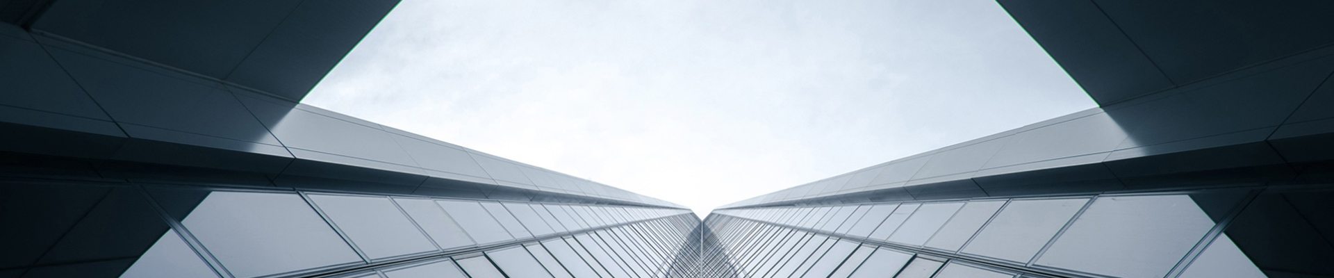 天大视觉智能实验室(Visual Intelligence Lab)